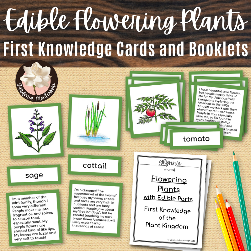 Edible Flowering Plants Cards Booklets - Montessori Botany Plant ...