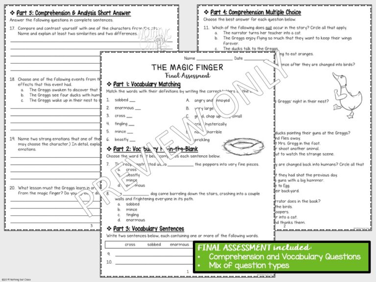 The Magic Finger Novel Study Unit | Made By Teachers