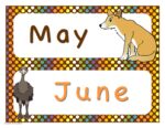 Australian Animals Calendar Set | Made By Teachers