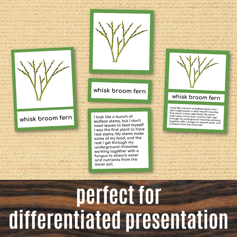Primitive and Nonvascular Plants Cards Booklet - Montessori Botany ...