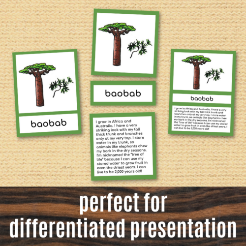 Trees Cards and Booklets - Montessori Botany Plant Kingdom - Montessori ...