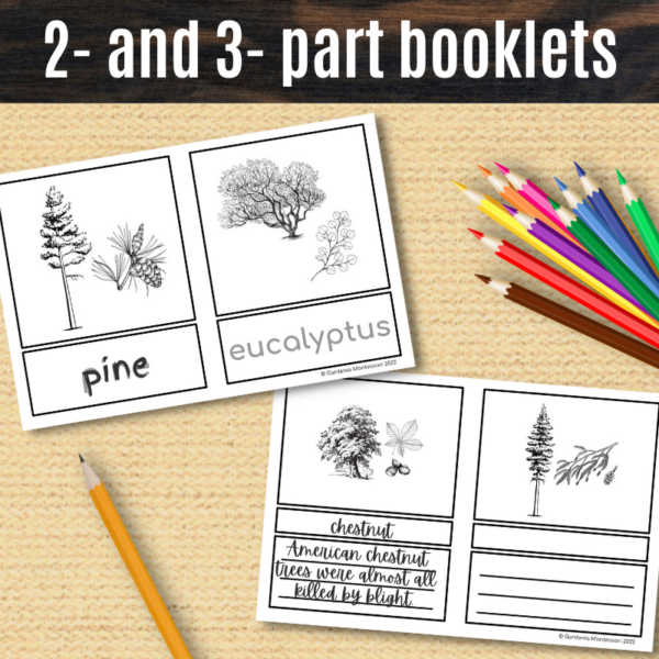 Trees Cards and Booklets - Montessori Botany Plant Kingdom - Montessori ...