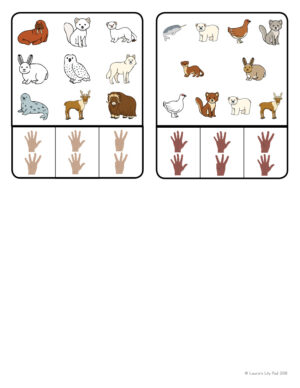 Arctic Count and Clip Cards | Made By Teachers