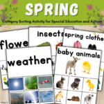 Spring Activity for Autism | Category Sorting | Sorting Objects | Made ...