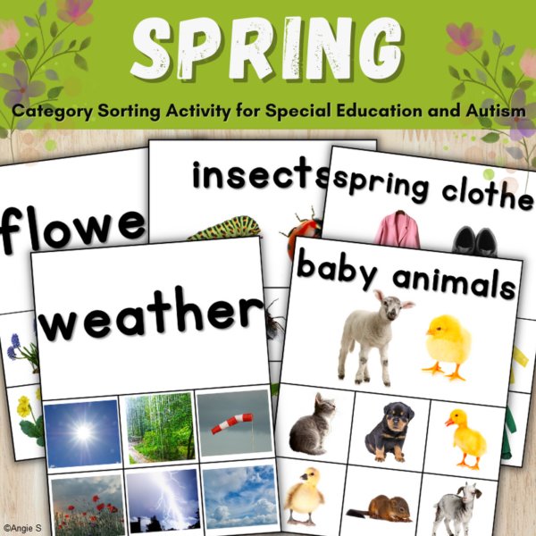 Spring Activity for Autism | Category Sorting | Sorting Objects | Made ...