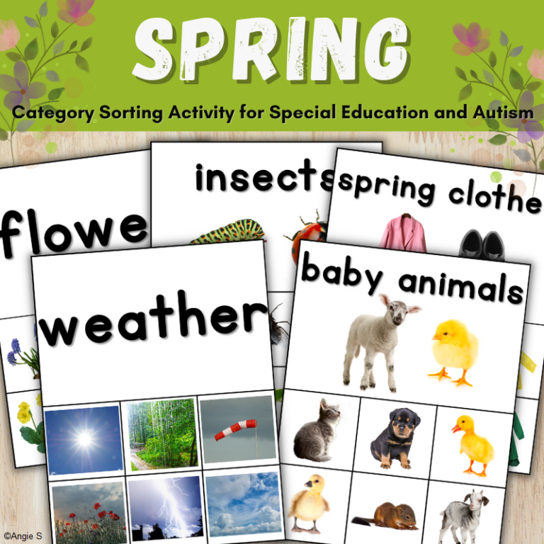 Spring Activity for Autism | Category Sorting | Sorting Objects | Made ...