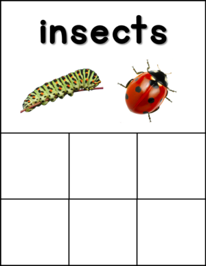 Spring Activity for Autism | Category Sorting | Sorting Objects | Made ...