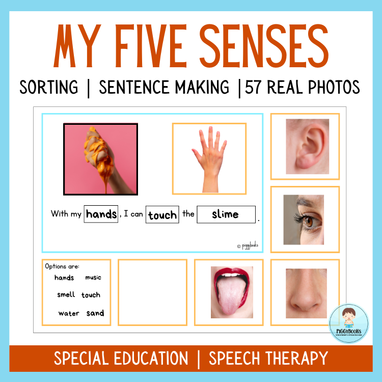 Five senses activities Sorting, Reading, Sentence making Special ...