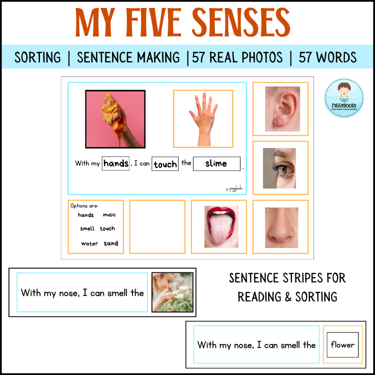 Five senses activities Sorting, Reading, Sentence making Special ...