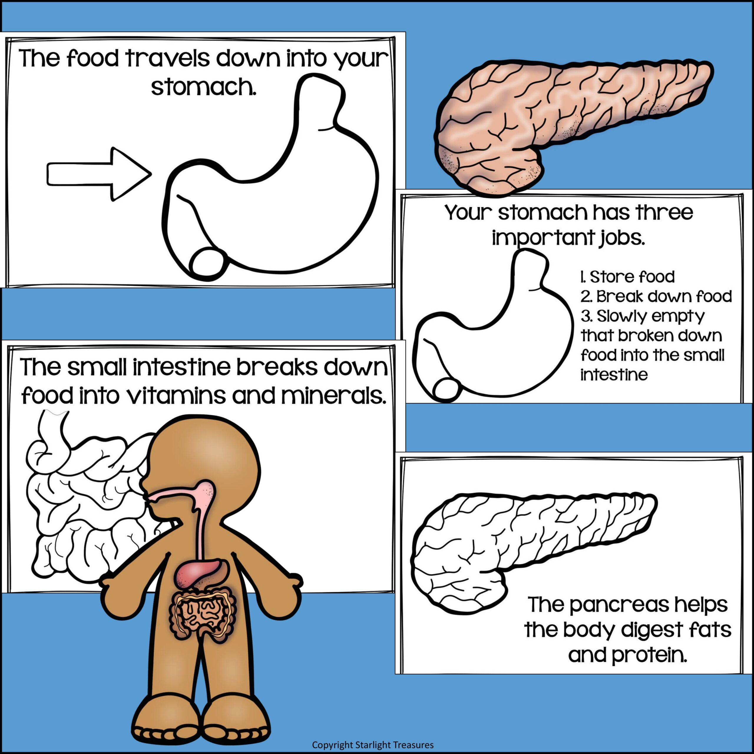 Human Body Systems: Digestive System Mini Book for Early Readers | Made ...
