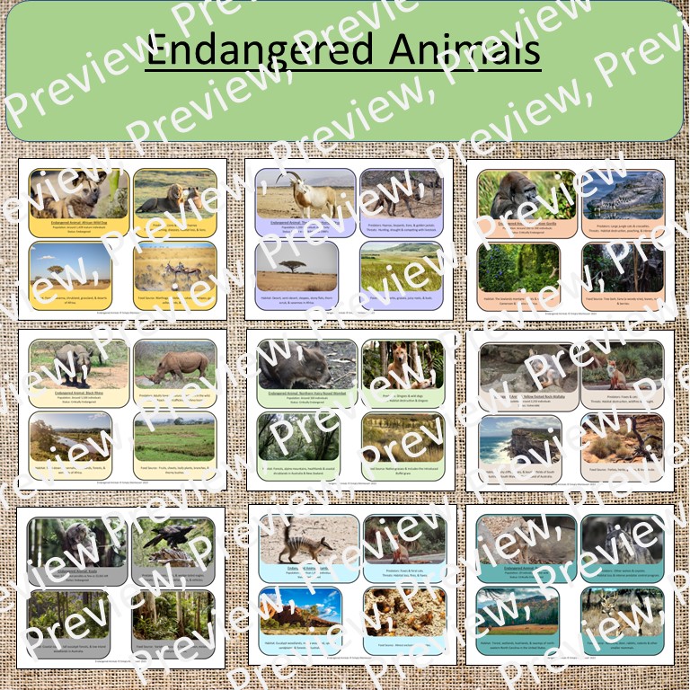 Endangered Animals Study Preschool Montessori Homeschool | Made By Teachers