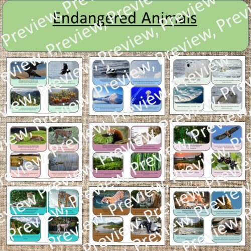 Endangered Animals Study Preschool Montessori Homeschool | Made By Teachers