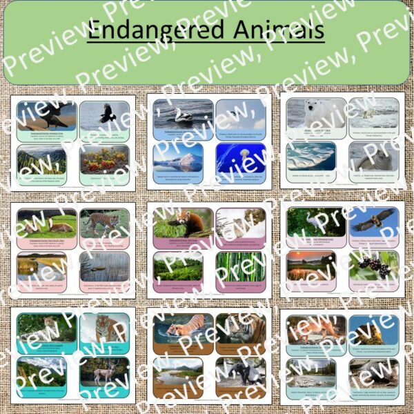 Endangered Animals Study Preschool Montessori Homeschool | Made By Teachers