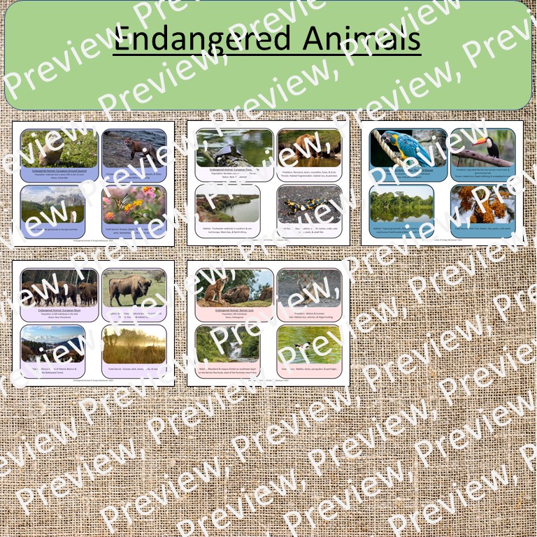 Endangered Animals Study Preschool Montessori Homeschool | Made By Teachers