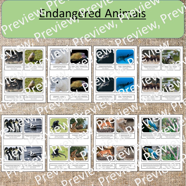 Endangered Animals Study Preschool Montessori Homeschool | Made By Teachers