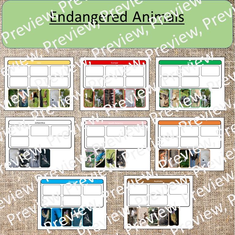 Endangered Animals Study Preschool Montessori Homeschool | Made By Teachers