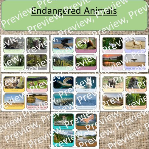 Endangered Animals Study Preschool Montessori Homeschool | Made By Teachers