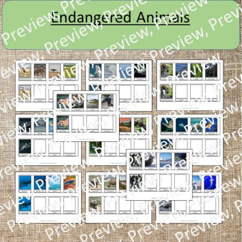 Endangered Animals Study Preschool Montessori Homeschool | Made By Teachers