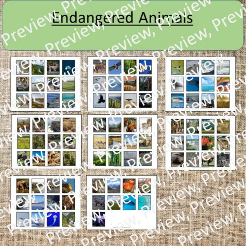 Endangered Animals Study Preschool Montessori Homeschool | Made By Teachers