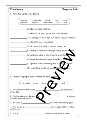 Kate DiCamillo "Mercy Watson Something Wonky This Way Comes" worksheets ...