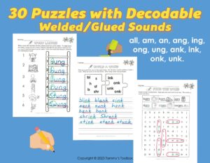 Decodable Welded and Glued Sound Word Family Puzzles | Made By Teachers