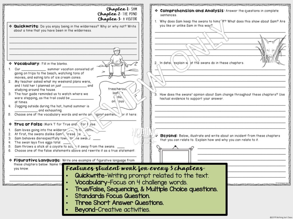 The Trumpet of the Swan Novel Study Unit | Made By Teachers