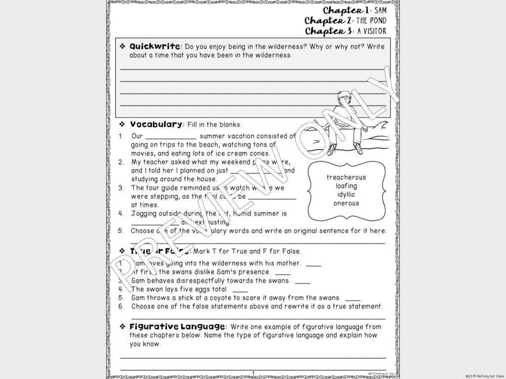 The Trumpet of the Swan Novel Study Unit | Made By Teachers