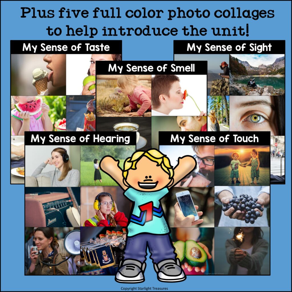 Five Senses Mini Book for Early Readers | Made By Teachers