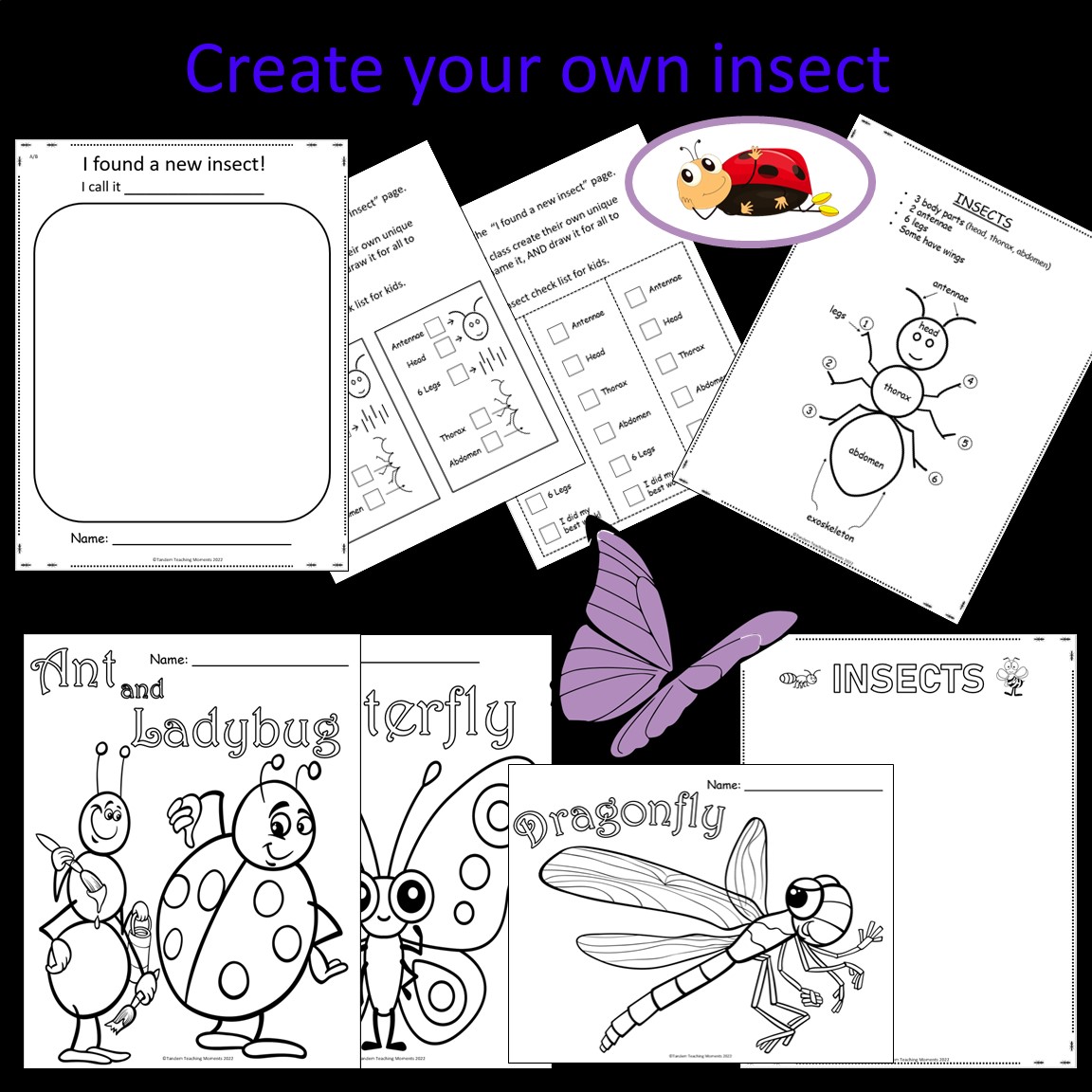 Insects for Kids (PK-2) YT story & corresponding worksheets | Made By ...