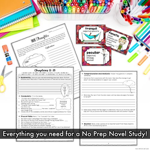 The Wild Robot Novel Study Unit | Made By Teachers