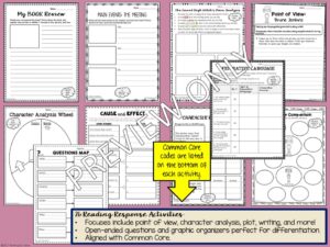 The Witches Novel Study Unit | Made By Teachers