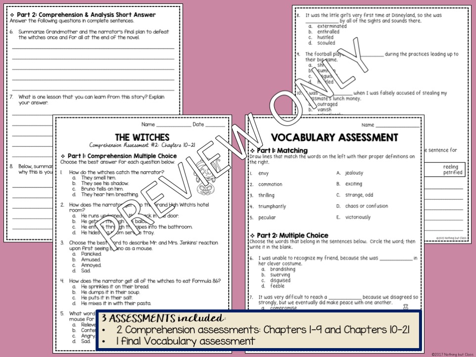 The Witches Novel Study Unit - Made By Teachers