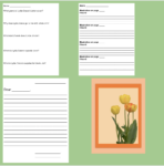 THE GARDENER BY SARAH STEWART READING COMPREHENSION & ACTIVITY UNIT ...