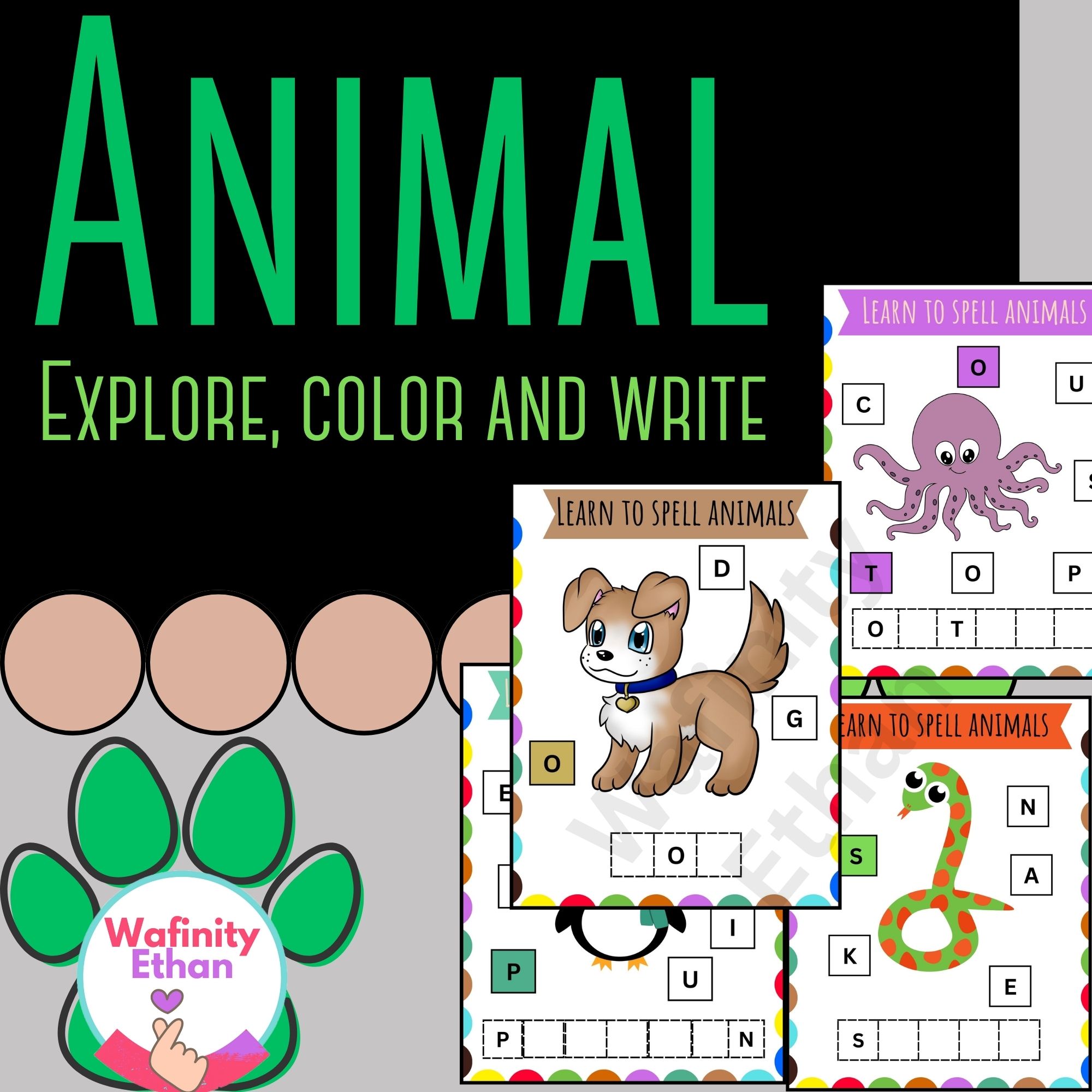 Fraction, Percentage, and Decimal Circles | Made By Teachers