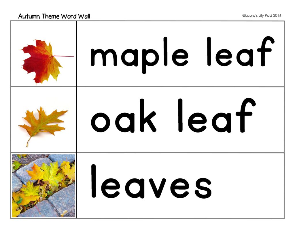 Autumn Photo Word Wall | Made By Teachers