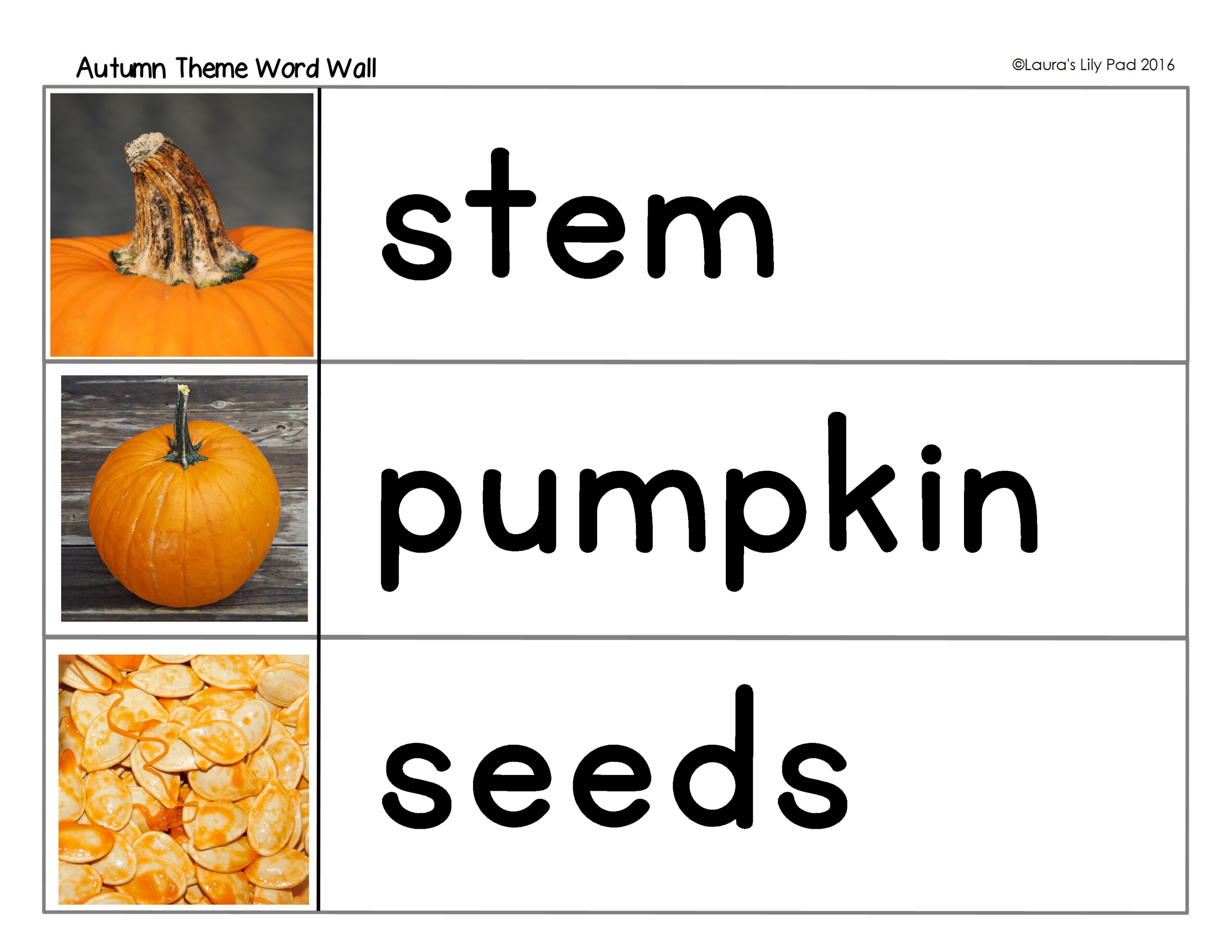 Autumn Photo Word Wall | Made By Teachers