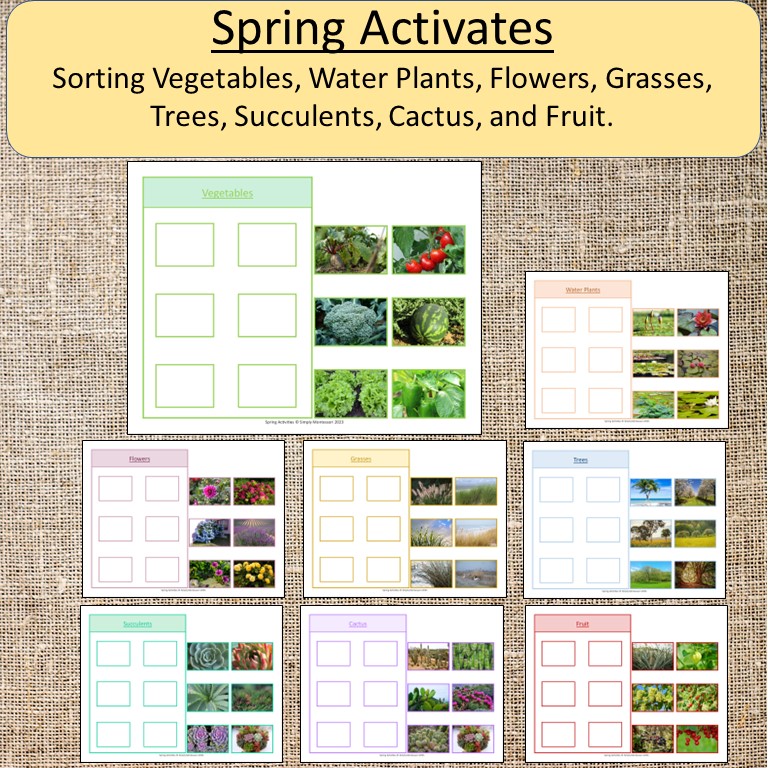 Spring Activities Preschool Montessori Homeschooling | Made By Teachers