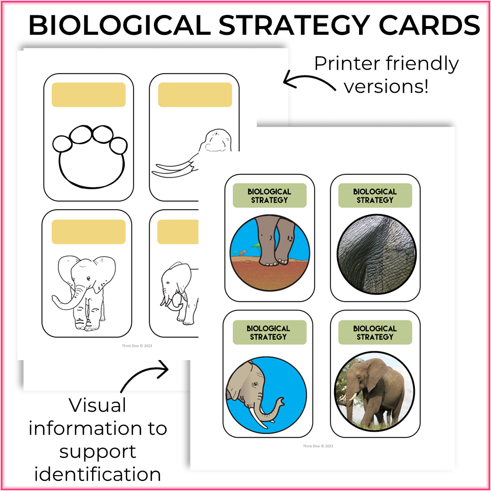 Biomimicry Cards Elephants STEAM | Biomimicry Design Compatible with ...