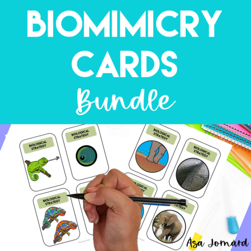 Biomimicry Cards Bundle STEAM | Biomimicry Design Compatible with NGSS ...