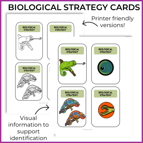 Biomimicry Cards Bundle STEAM | Biomimicry Design Compatible with NGSS ...