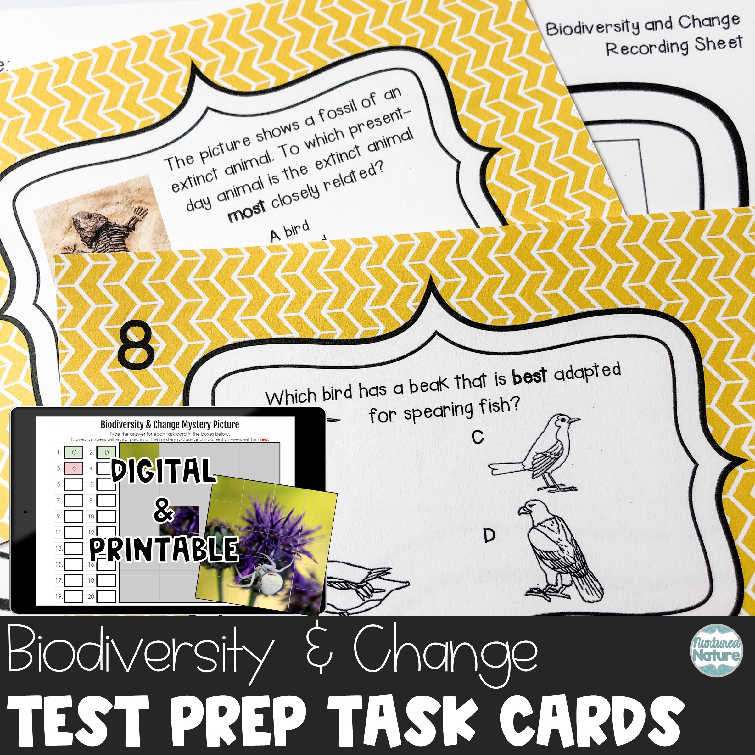Animal Adaptations and Fossils – Science Test Prep Review Task Cards ...
