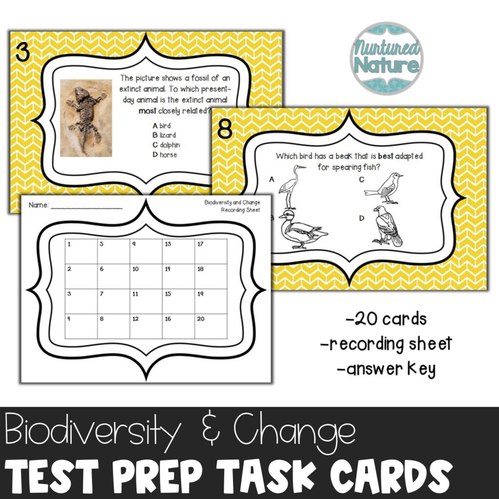 Animal Adaptations and Fossils – Science Test Prep Review Task Cards ...