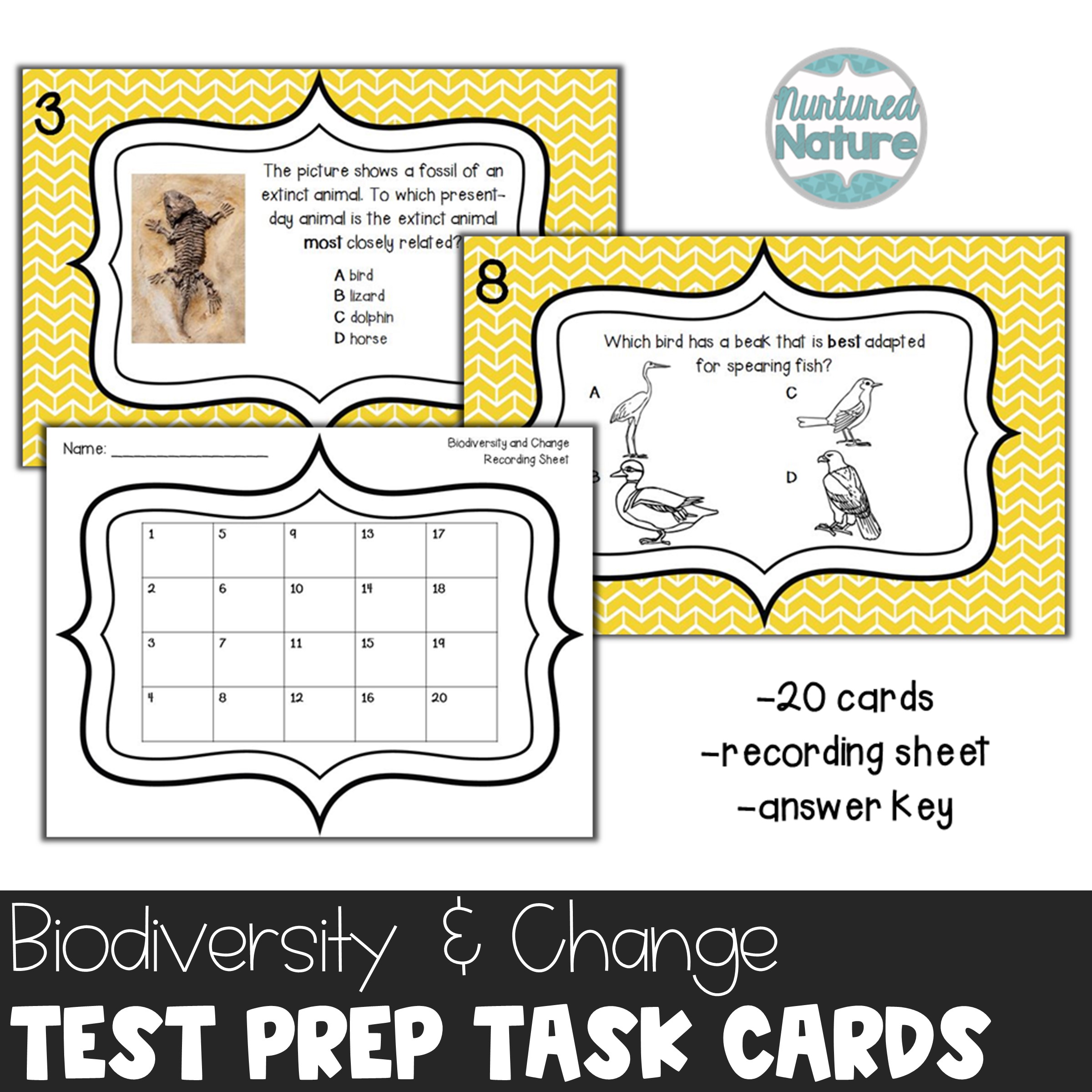 Animal Adaptations and Fossils – Science Test Prep Review Task Cards ...