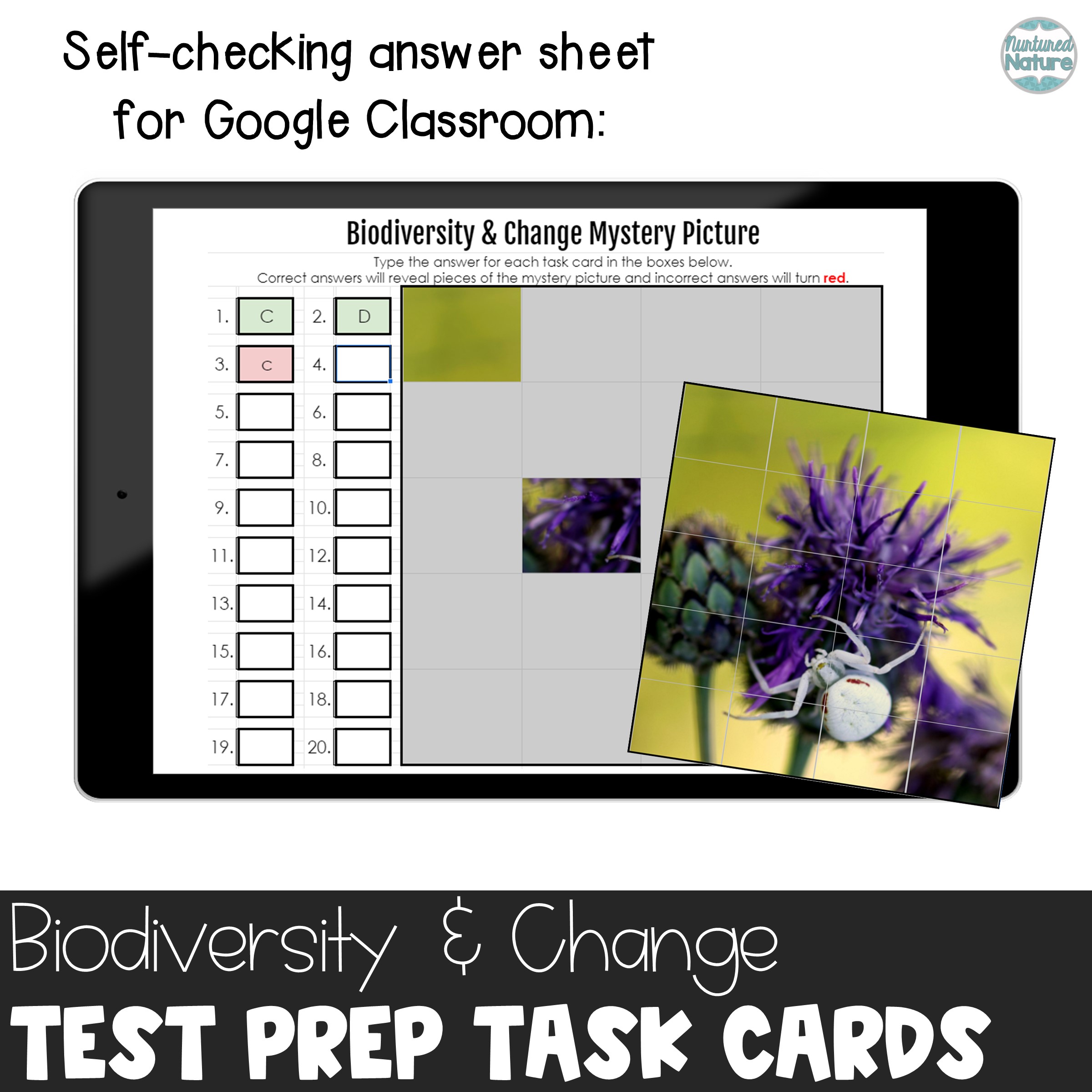 Animal Adaptations and Fossils – Science Test Prep Review Task Cards ...