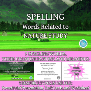 SPELLING Training | Bundle 2 | Made By Teachers