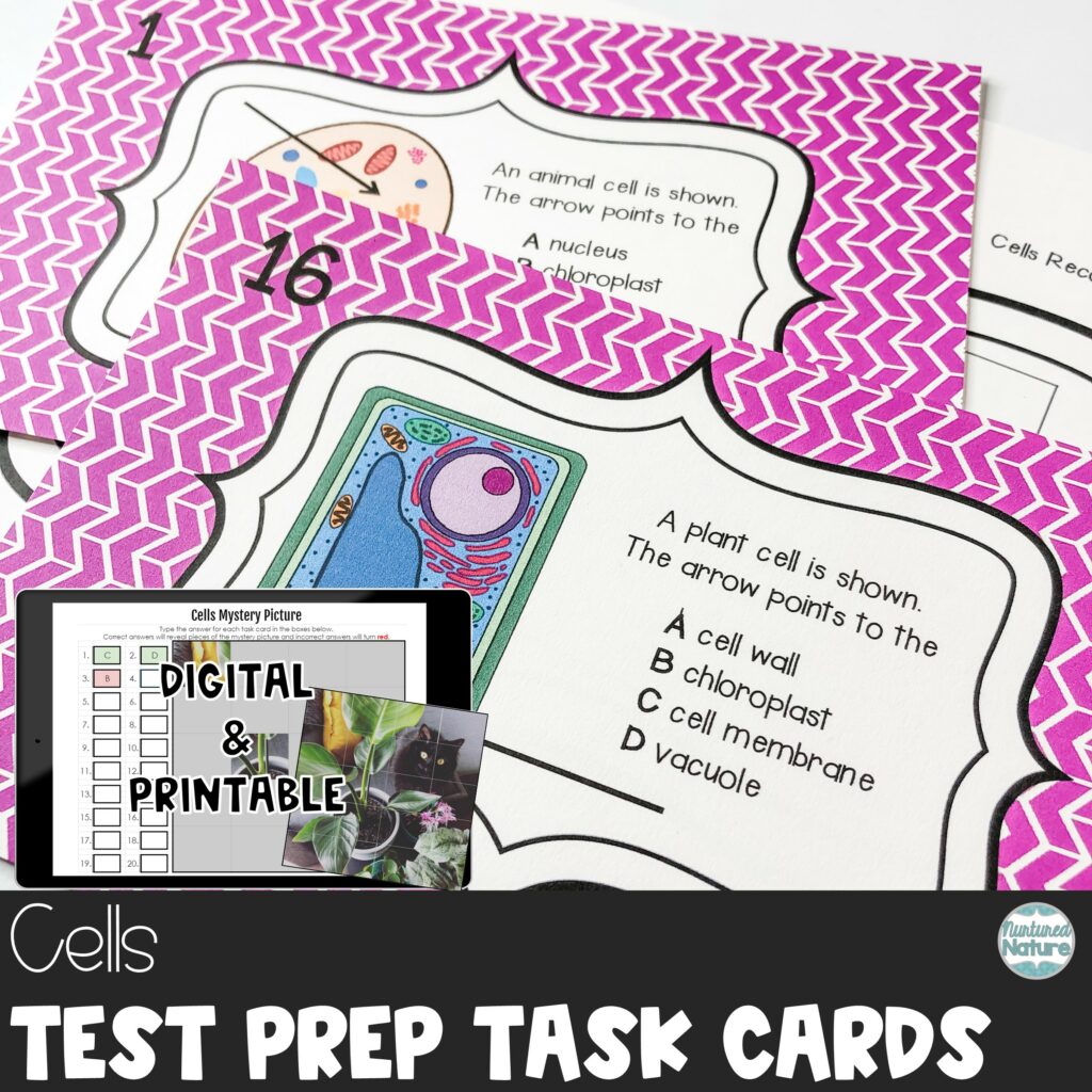 Cells and Organelles - Science Review Test Prep Task Cards - Digital ...