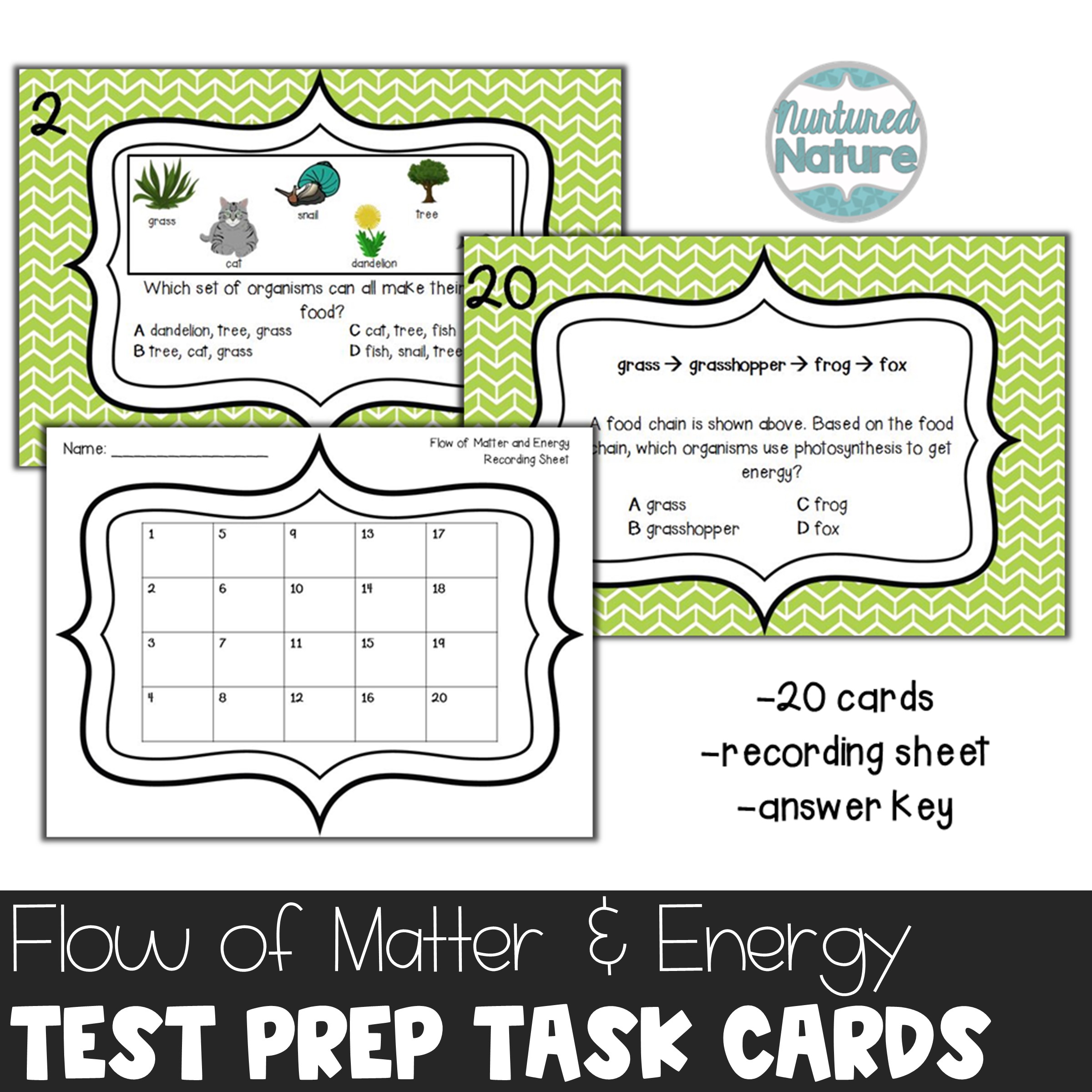 Flow of Matter and Energy Science Review Task Cards – Photosynthesis ...