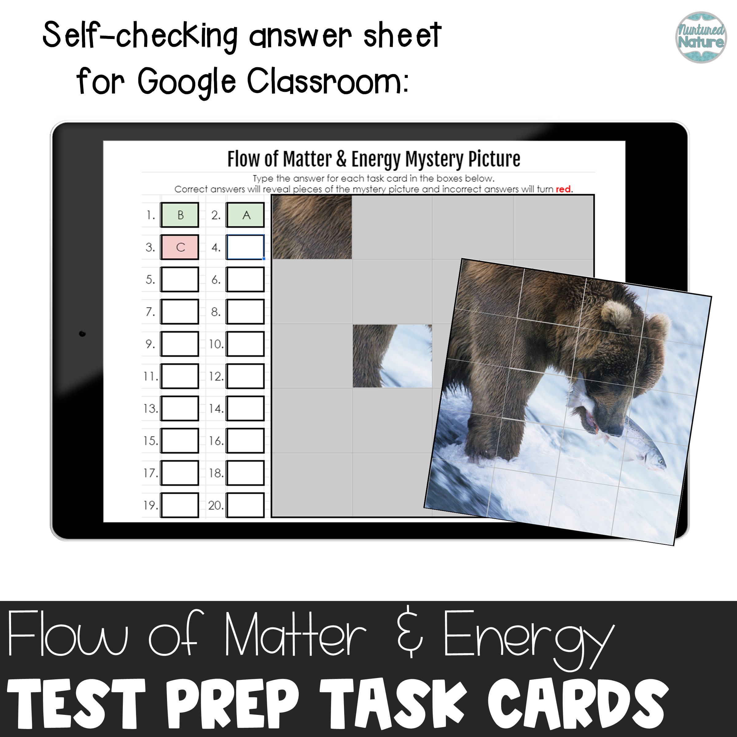 Flow of Matter and Energy Science Review Task Cards – Photosynthesis ...