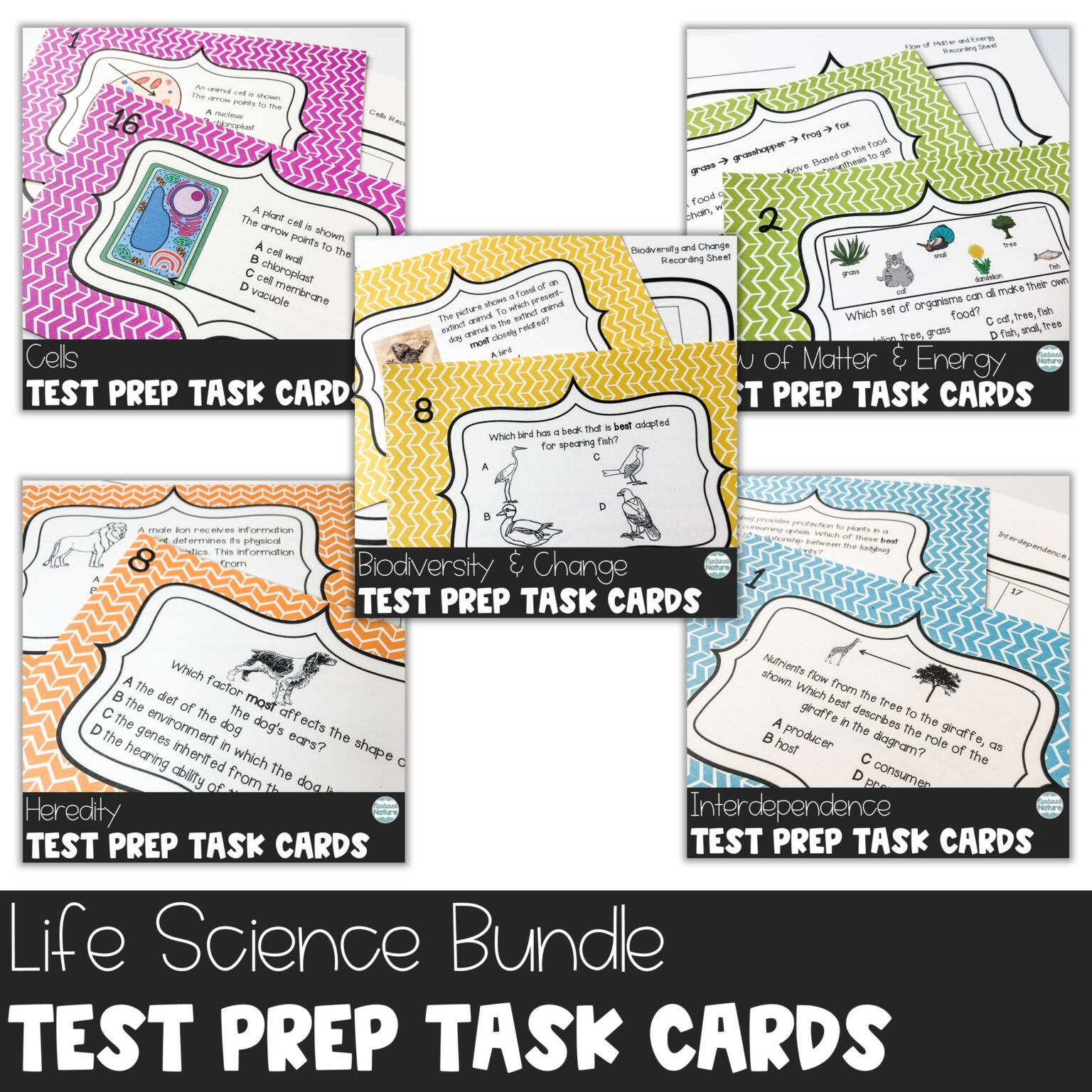 Life Science Test Prep Task Cards for 5th Grade Bundle – Digital and ...