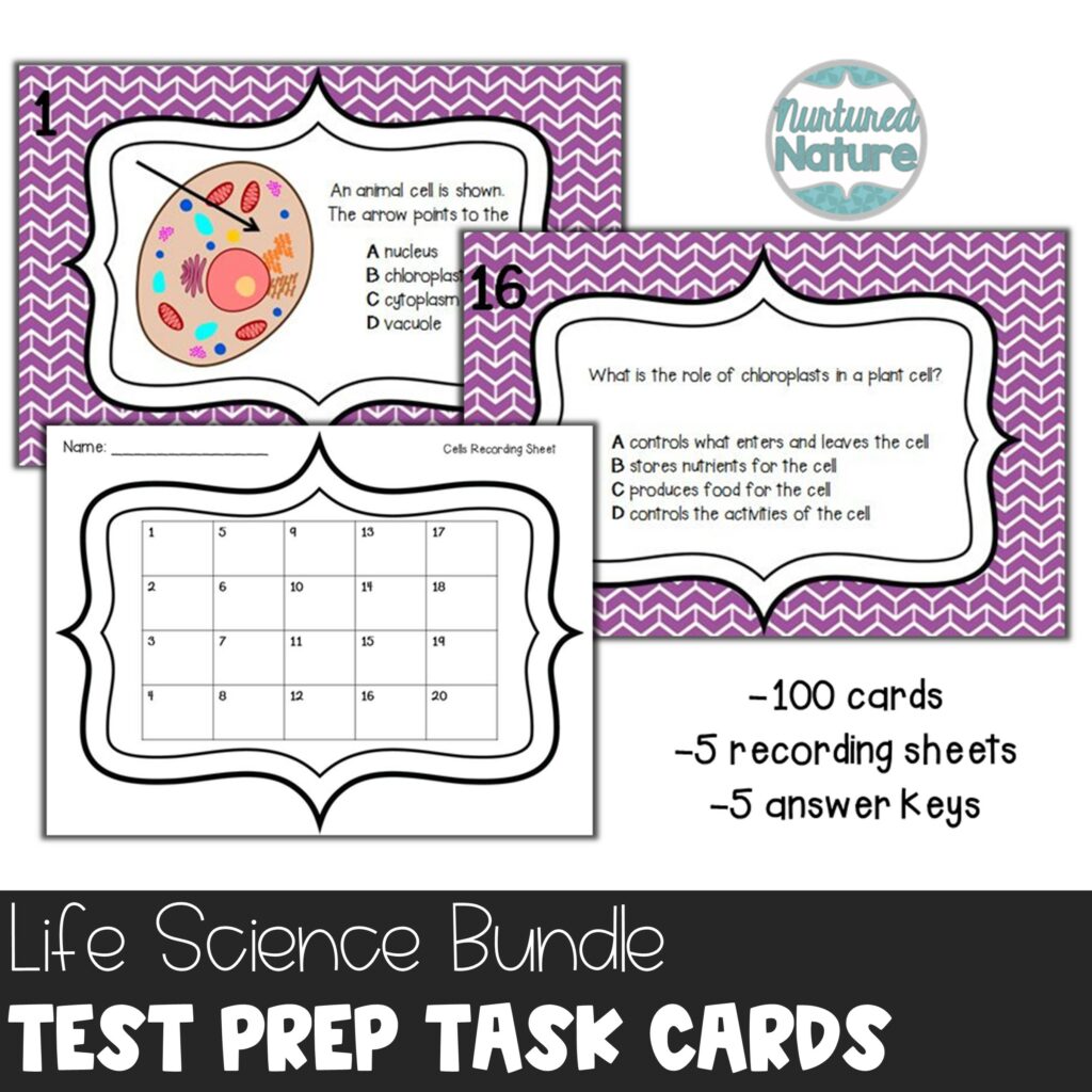 Life Science Test Prep Task Cards for 5th Grade Bundle – Digital and ...